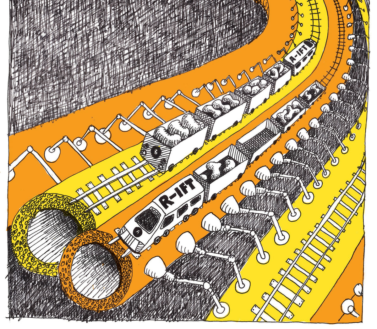 Molecular trains on different miniature railroads: MPI-CBG