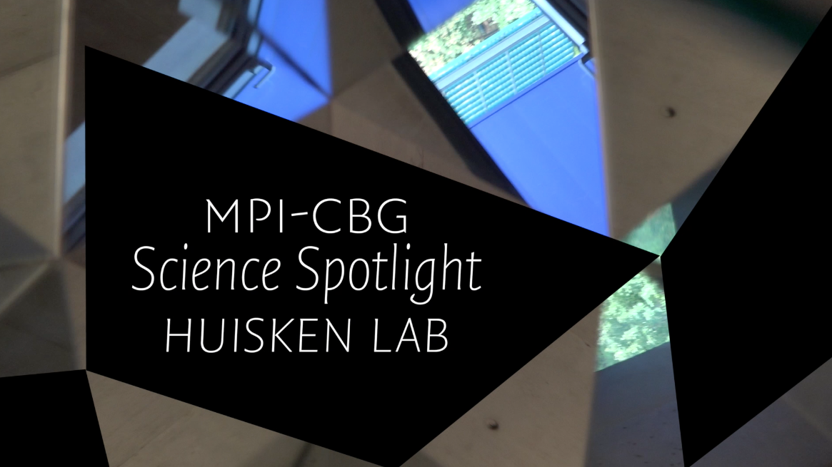 MPI-CBG Science Spotlights: MPI-CBG