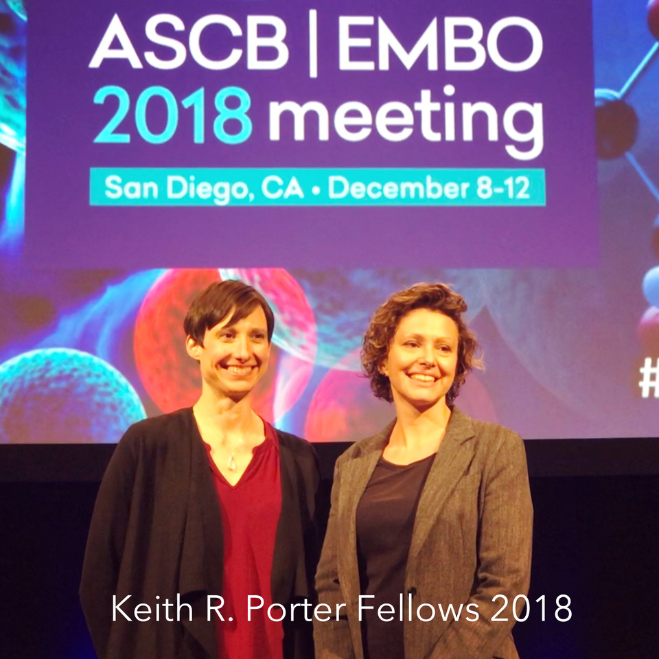 Preis für herausragende Leistungen in der Zellbiologie: Max Planck ...