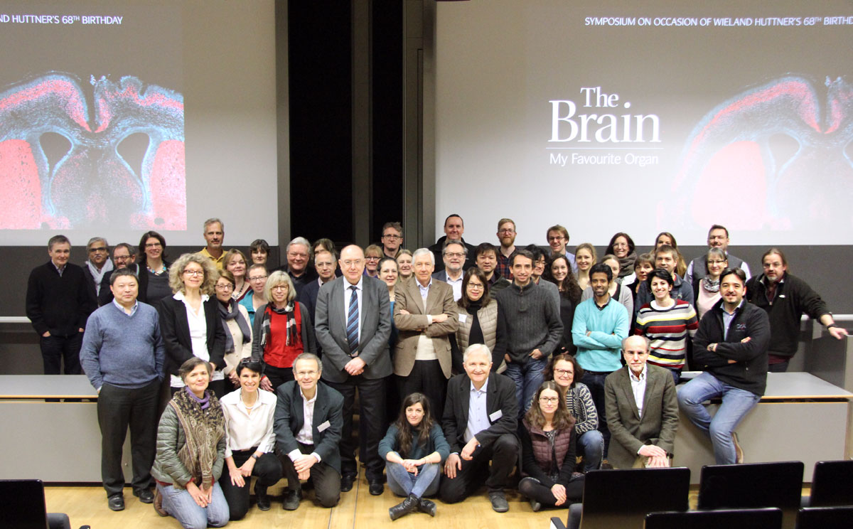 The Brain – My favourite Organ: MPI-CBG