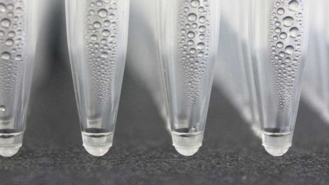 FACS: Max Planck Institute of Molecular Cell Biology and Genetics