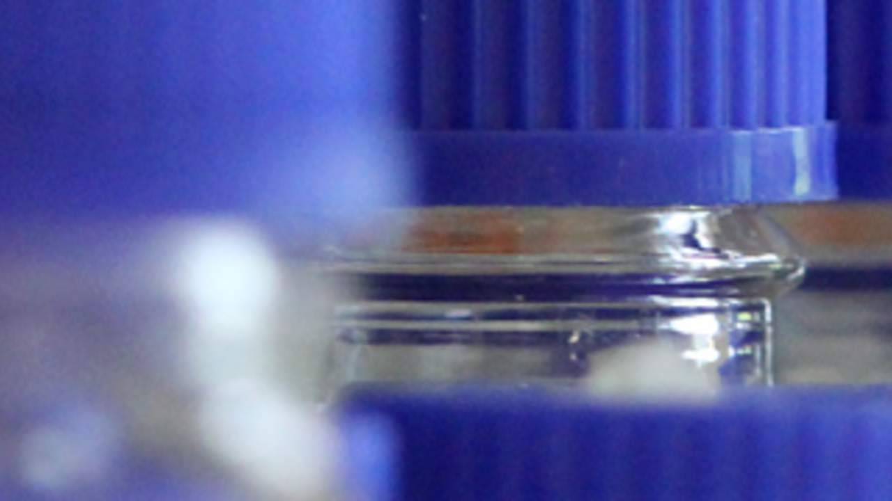 Research Focus: MPI-CBG