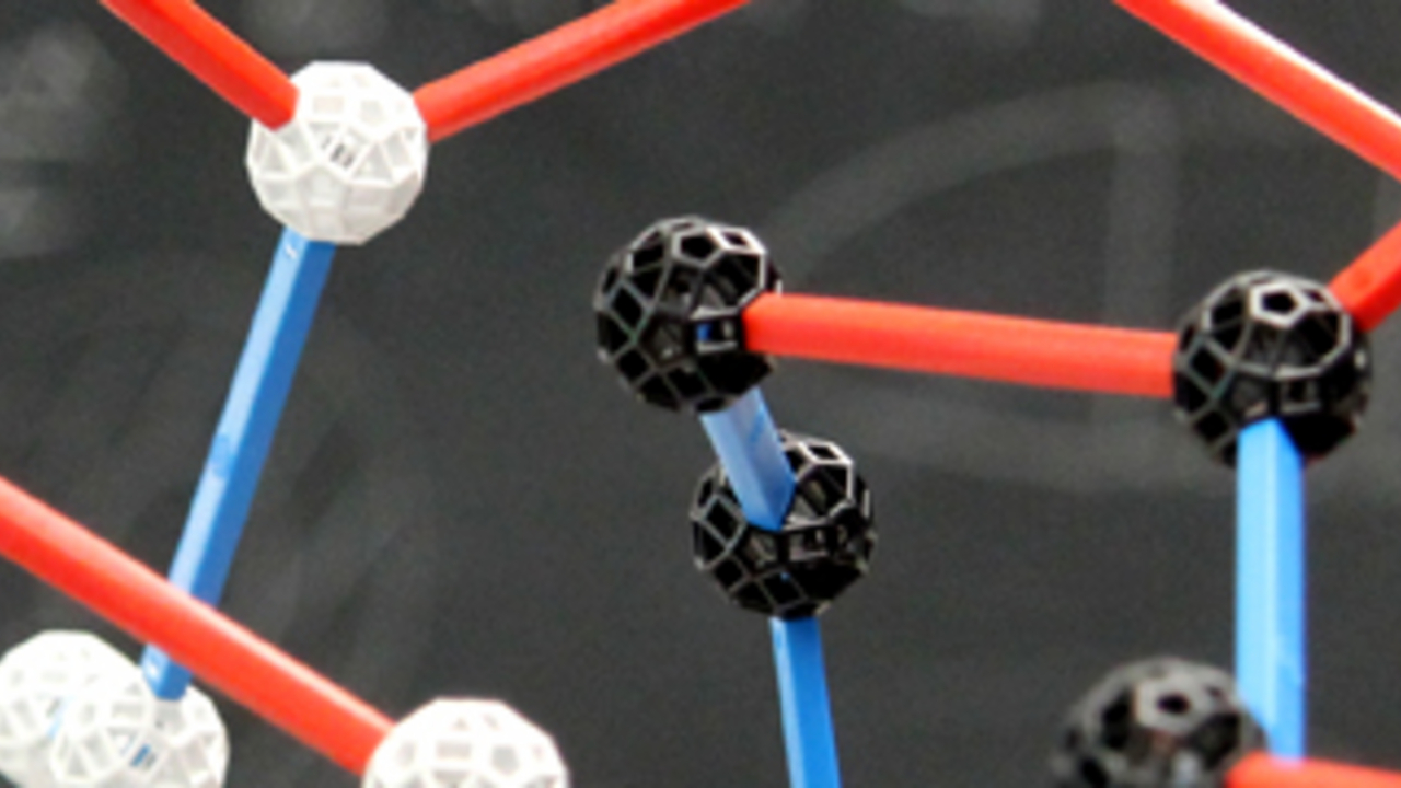 Research Focus: MPI-CBG