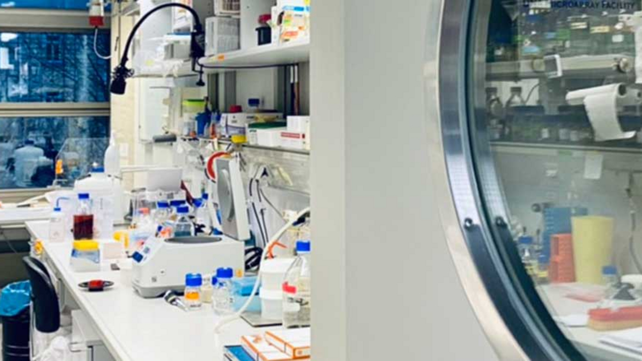 Our Research: MPI-CBG