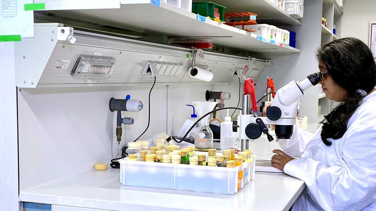 Basic Research: MPI-CBG