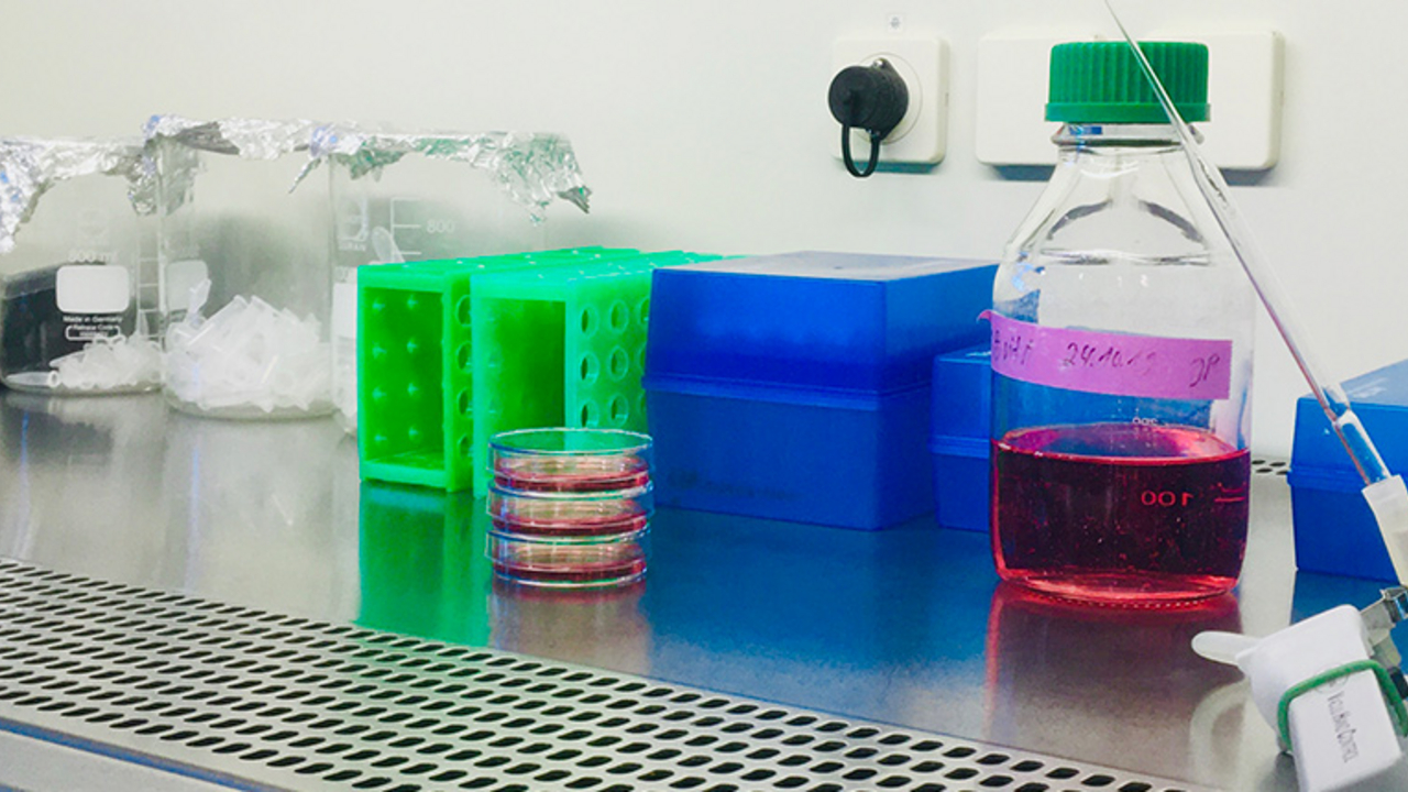 Research Areas: MPI-CBG