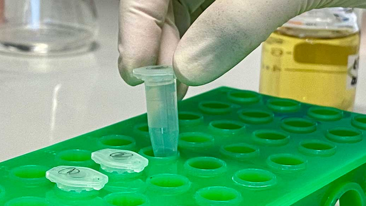 Find your Service: MPI-CBG