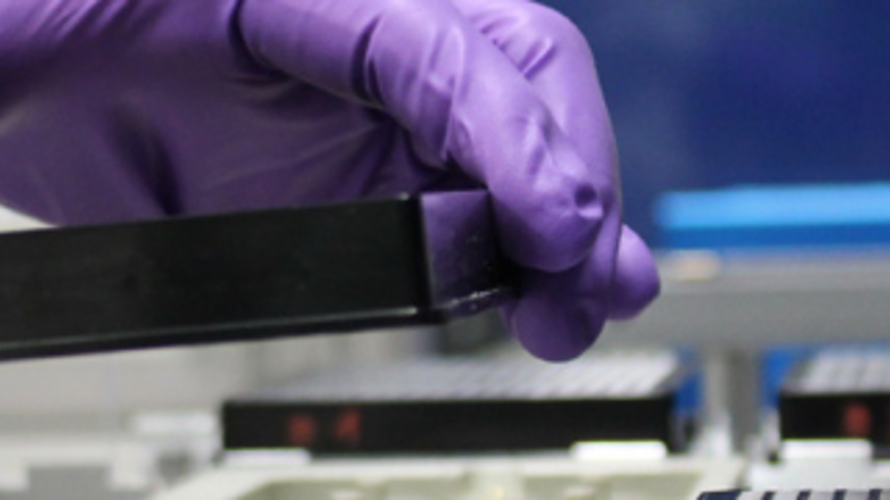 Publications: MPI-CBG