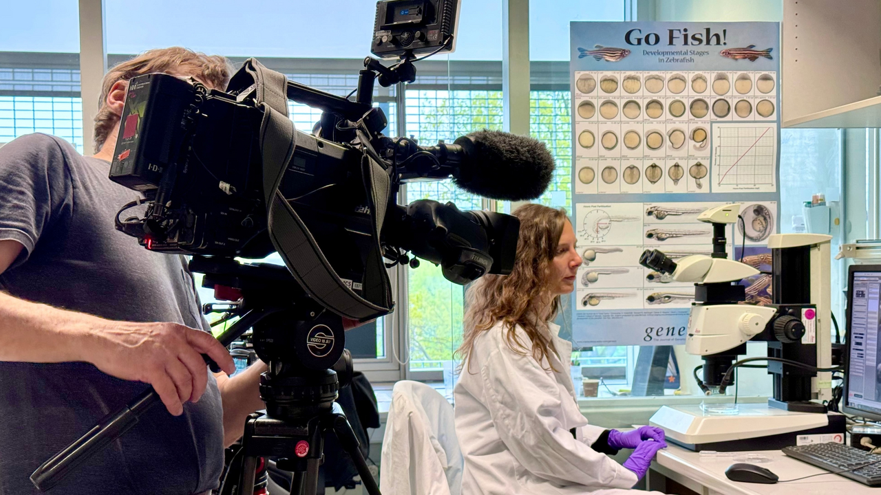 Funding for Mathematician from Knut and Alice Wallenberg Foundation: MPI-CBG